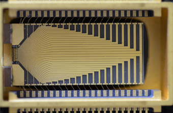 Array Packaging | Intenseco.com